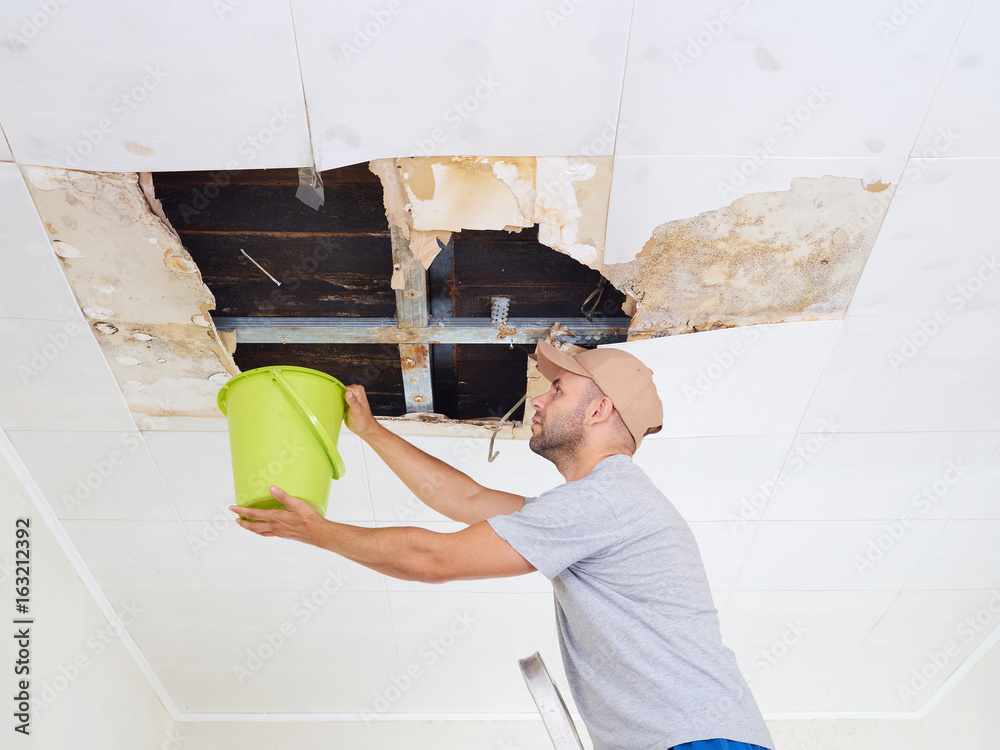 Man Collecting Water In Bucket From Ceiling. Ceiling panels damaged ...