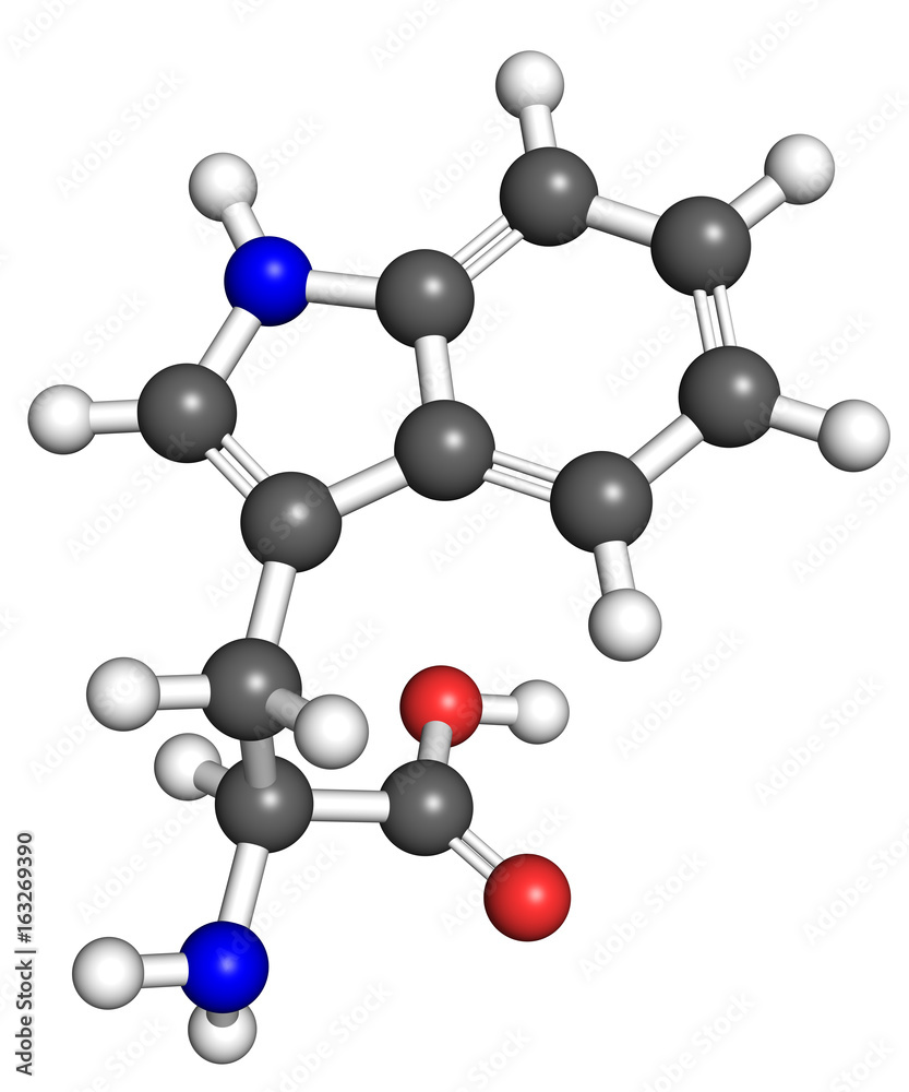 Tryptophan molecule, ball and stick model Stock Illustration | Adobe Stock