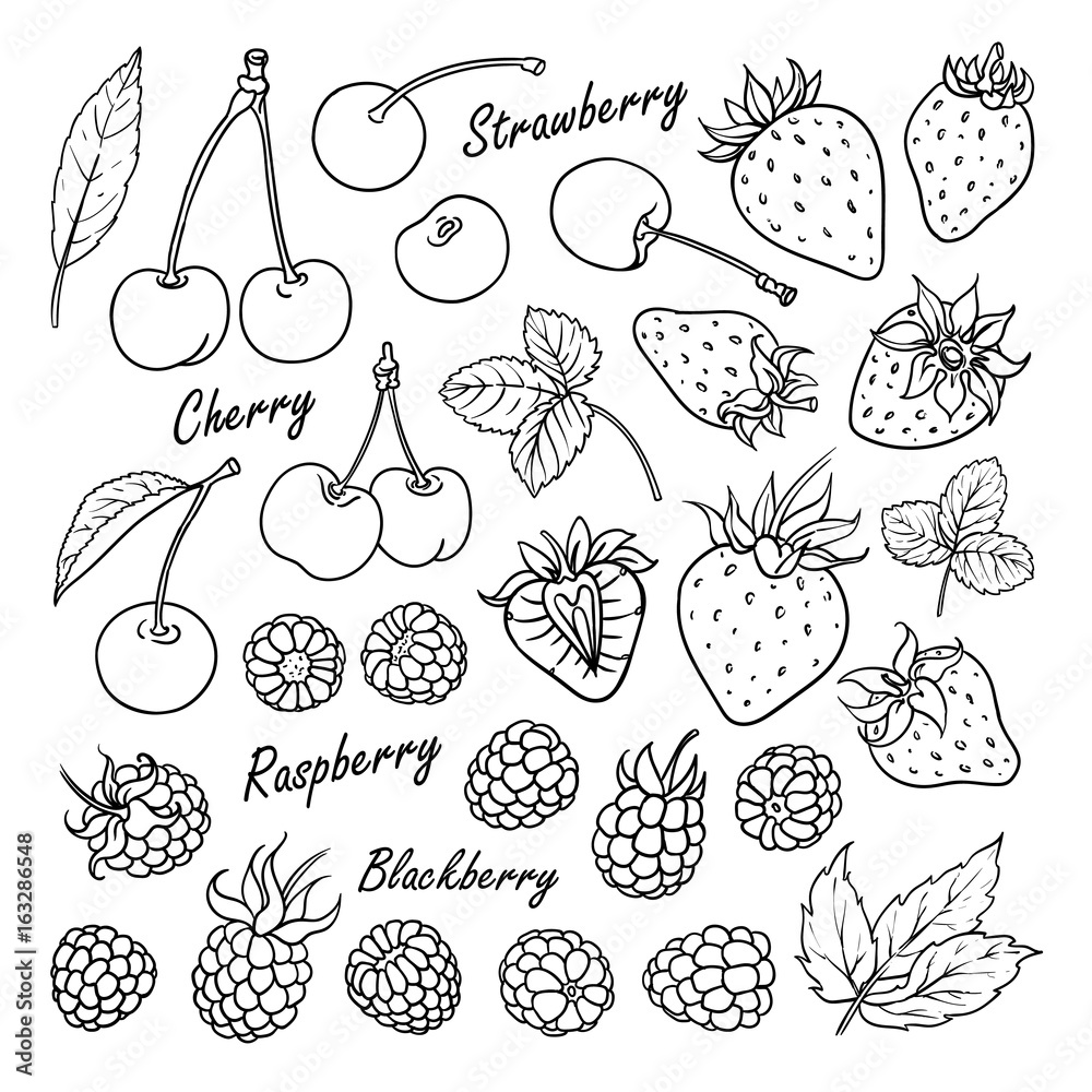 Set of vector fruits and berries: cherry, strawberry, raspberry ...