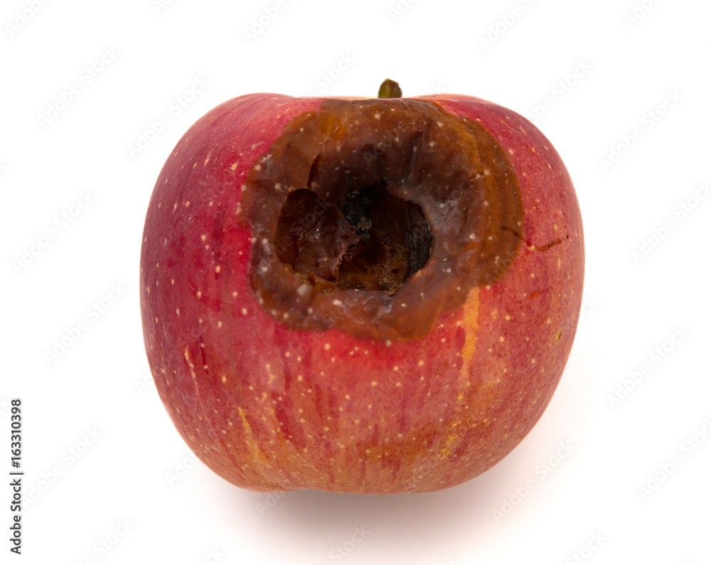 rotten apple with a big hole on white background Stock Photo | Adobe Stock