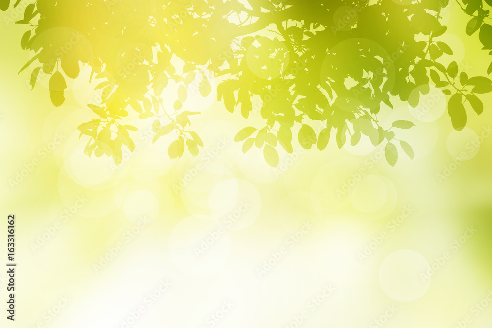 Abstract Park Wallpaper