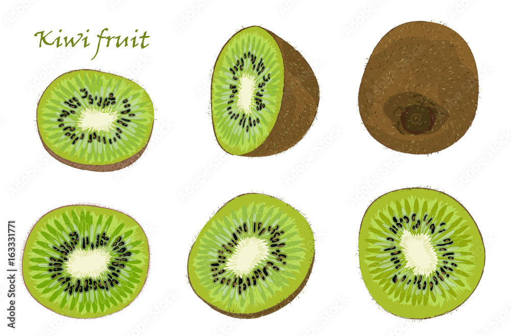 Set of hand-drawn kiwi fruit, single, peeled and sliced fruits ...