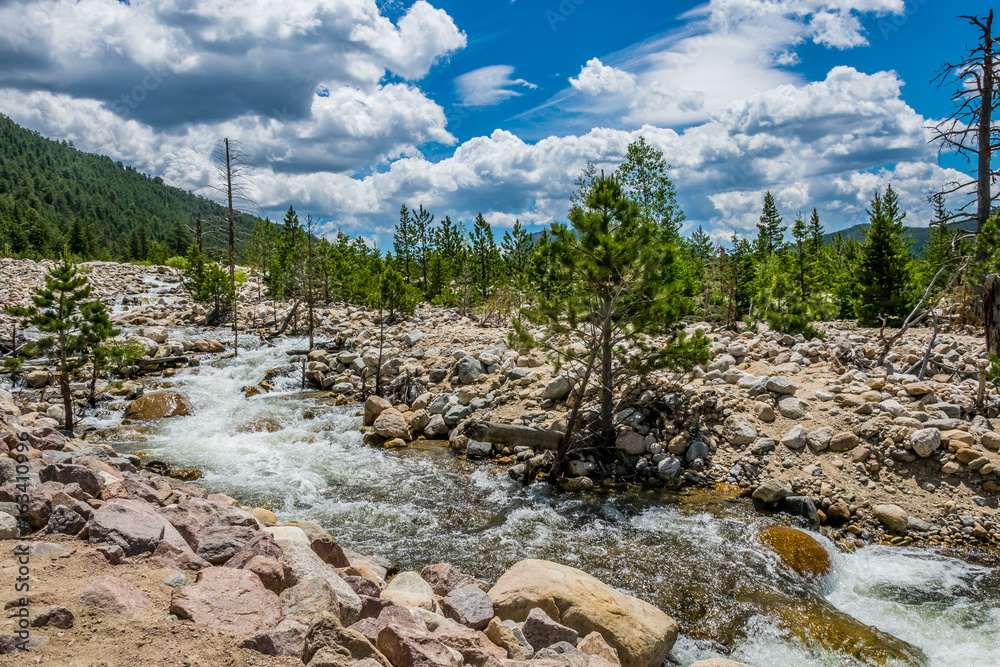Rocky Mountain Stream