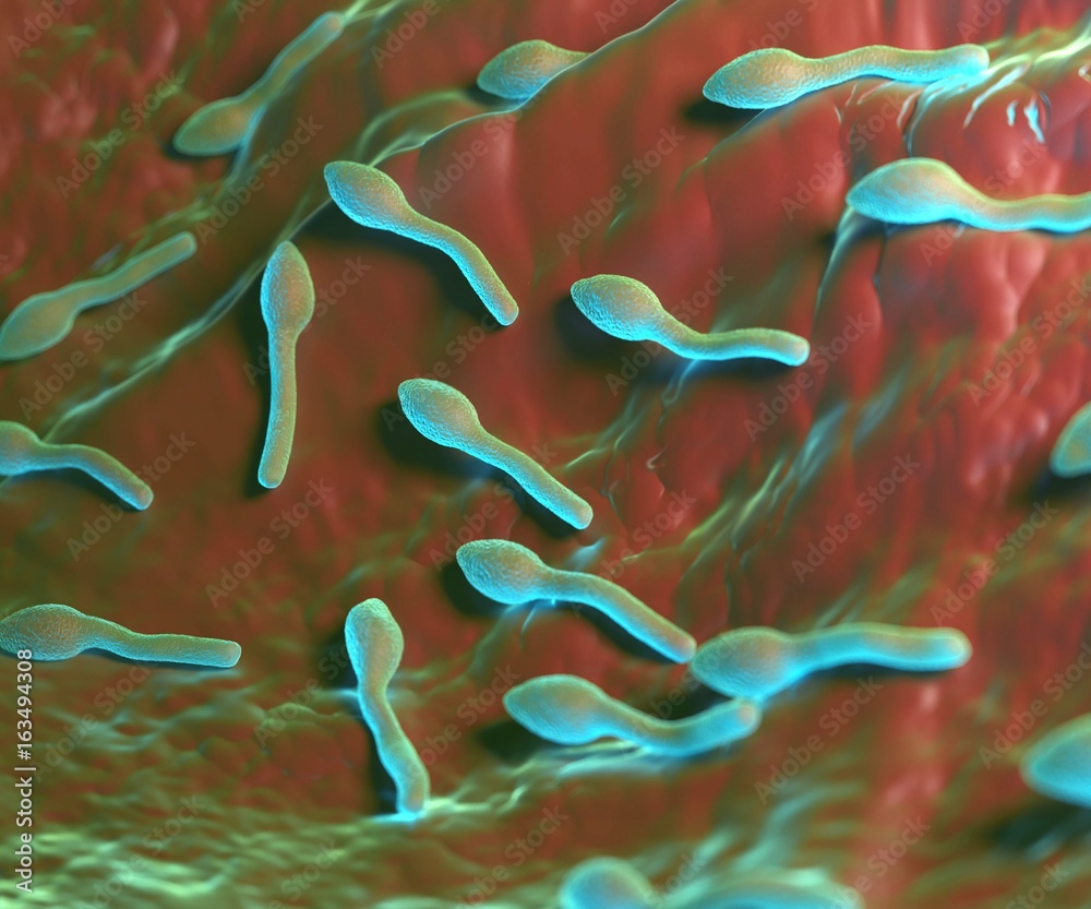 Clostridium tetani bacterium Stock Photo | Adobe Stock