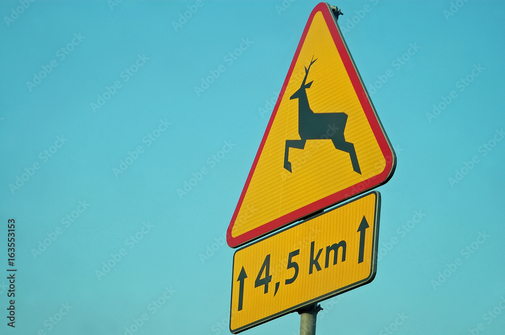 schild achtung wildwechsel Stock Photo | Adobe Stock