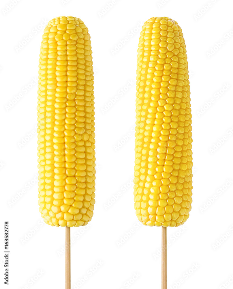 Isolated corns. Two cooked sweet corns on wooden sticks isolated on ...