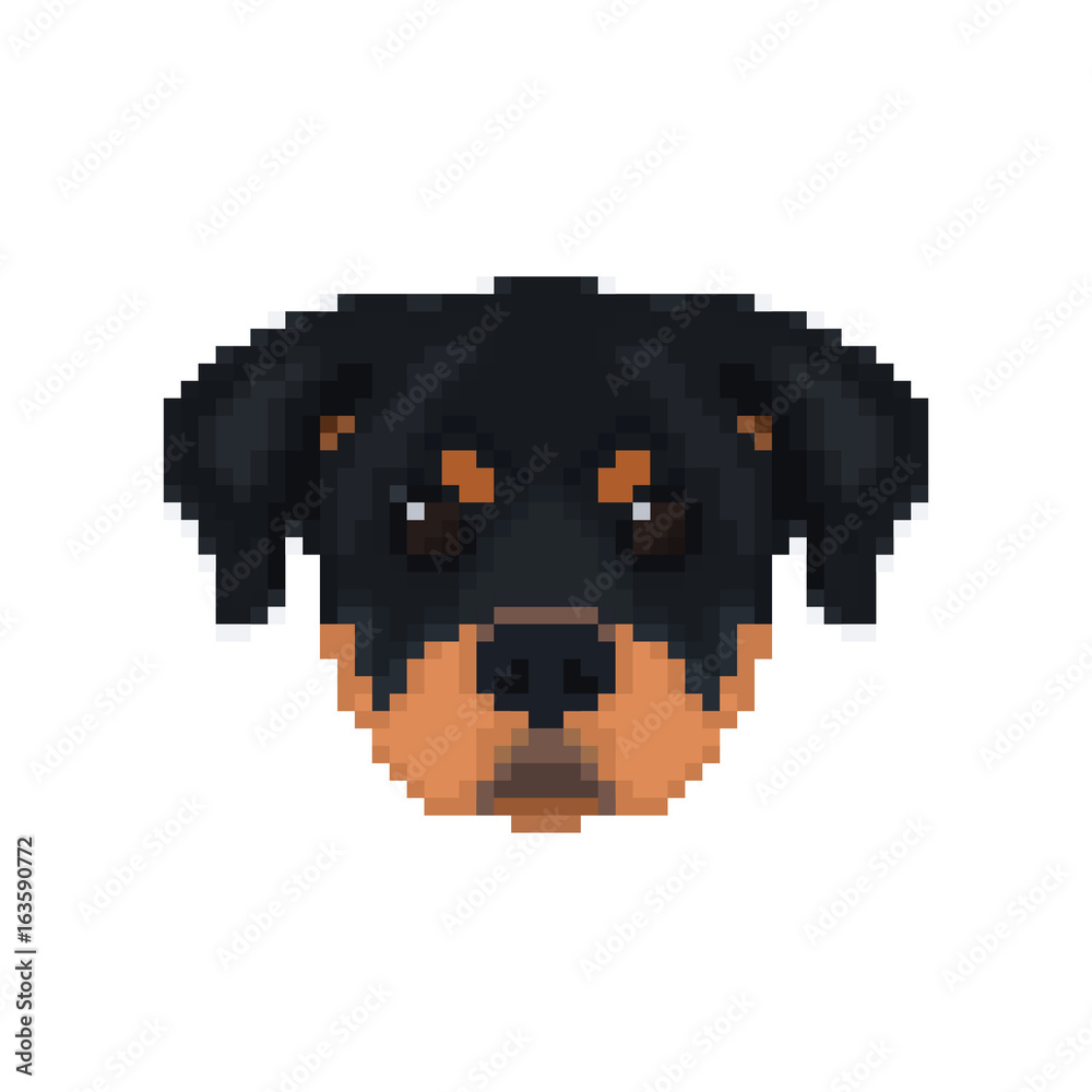 Rottweiler head in pixel art style. Dog vector illustration. Stock ...