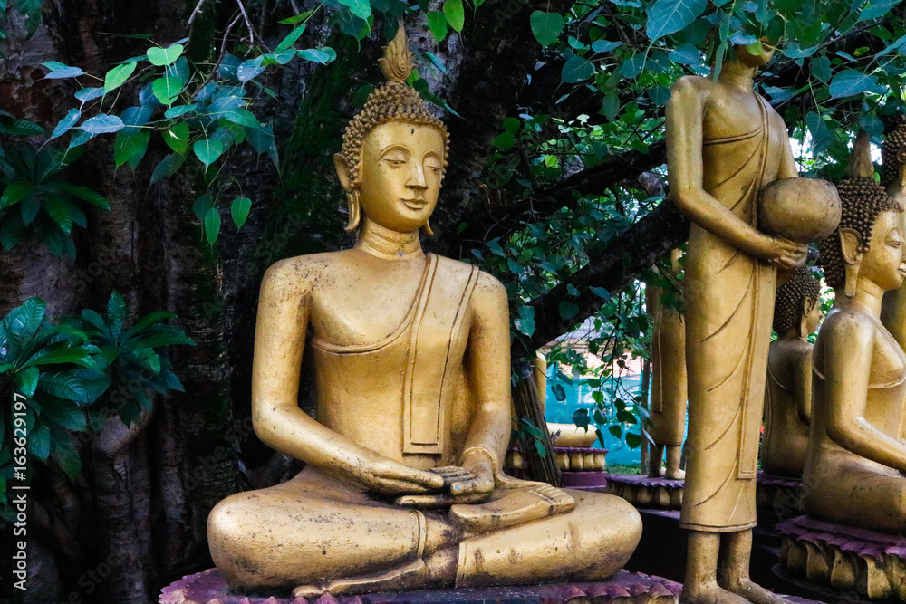 Buddha under Bo tree in Lao temple, Laos Stock Photo | Adobe Stock