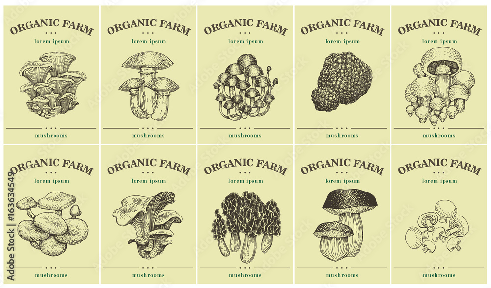Labels with various Mushrooms. Set templates price tags for shops and ...