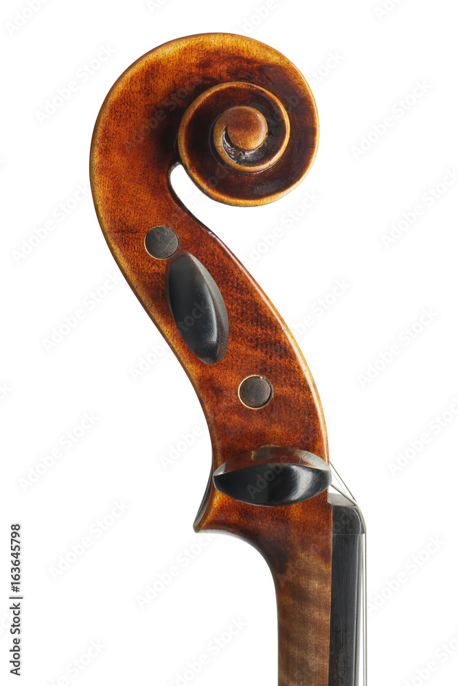 Cello scroll close up isolated on white background Stock Photo | Adobe ...