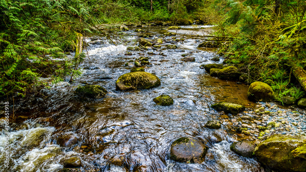 Rocks, trees and boulders in the Salmon habitat of the fast flowing ...
