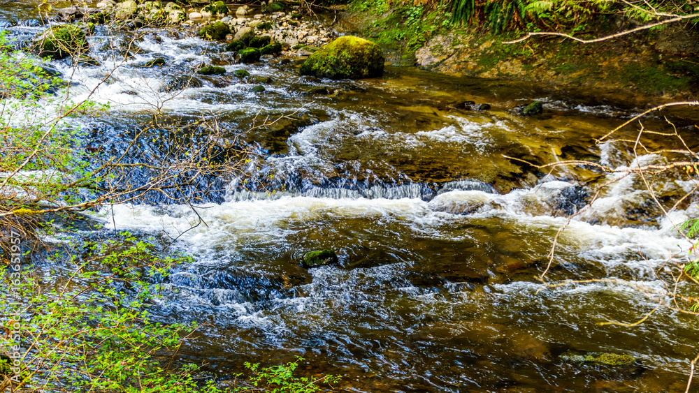 Rocks, trees and boulders in the Salmon habitat of the fast flowing ...