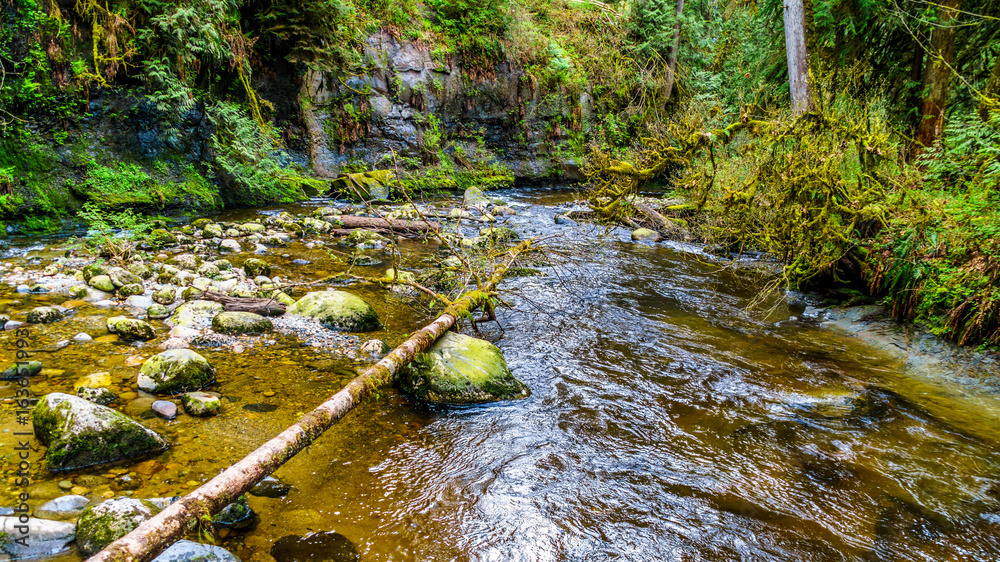Rocks, trees and boulders in the Salmon habitat of the fast flowing ...