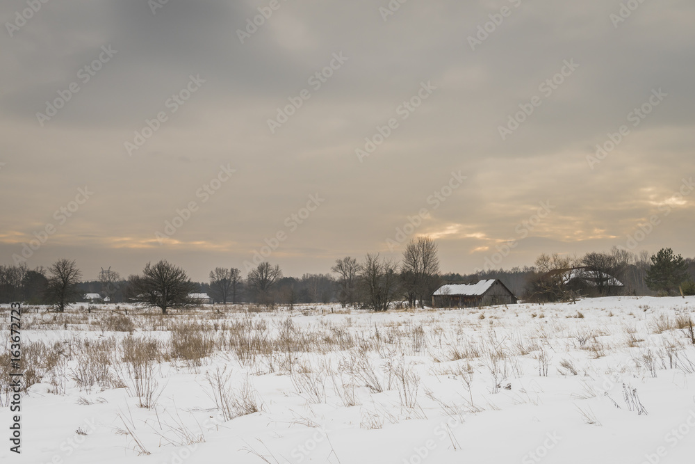 Radioactive Landscape Chernobyl Ukraine Stock Photo | Adobe Stock