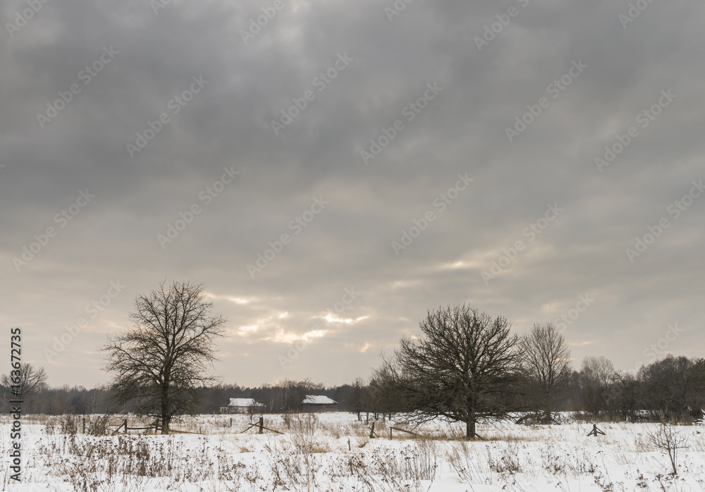 Radioactive Landscape Chernobyl Stock Photo | Adobe Stock
