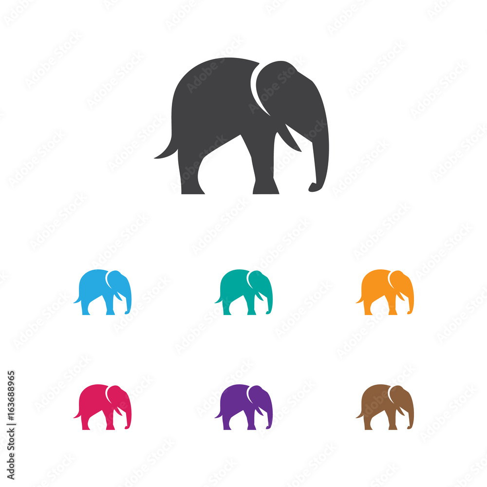 Vector Illustration Of Zoo Symbol On Elephant Icon. Premium Quality ...