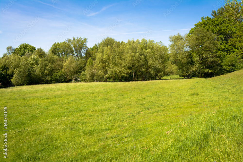 Hintergrundbild mit Wiese Stock-Foto | Adobe Stock