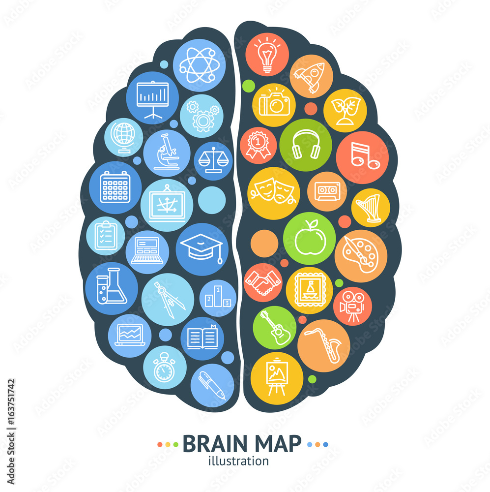 Human Brain Map Concept Left and Right Hemisphere. Vector Stock Vector ...