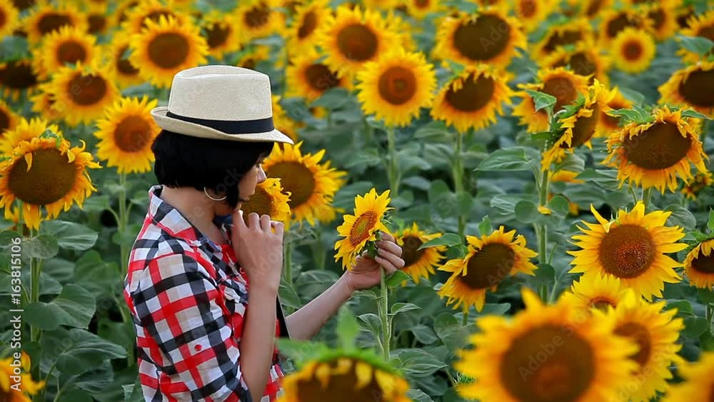 Female agronomist controls the quality of sunflower, Women in the ...