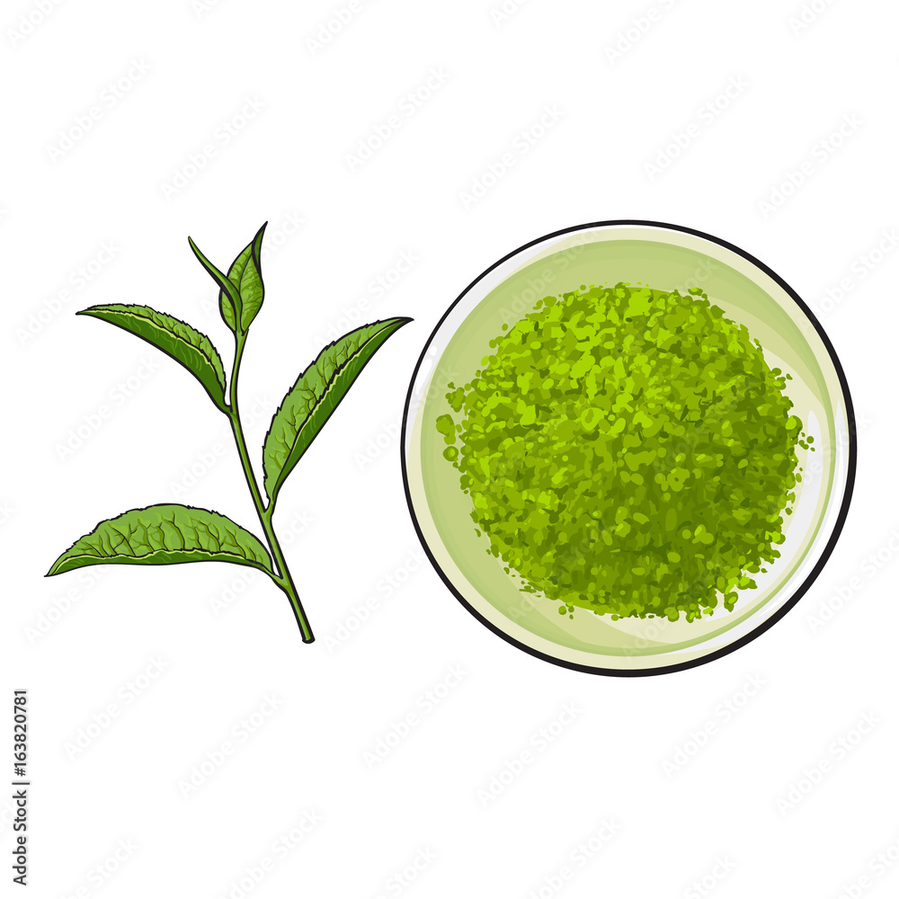 Hand drawn bowl of matcha powder and green tea leaf, sketch style ...