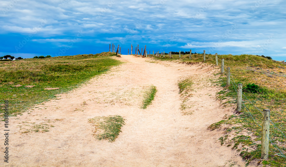 Path to sand beach with beachgrass. Way to the wide sandy beaches of ...