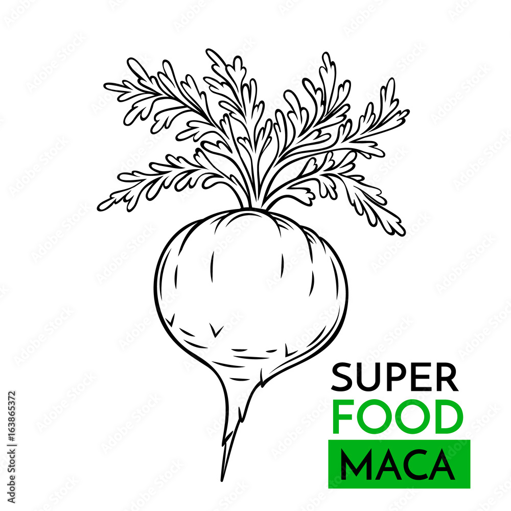 vector icon superfood maca Stock Vector | Adobe Stock
