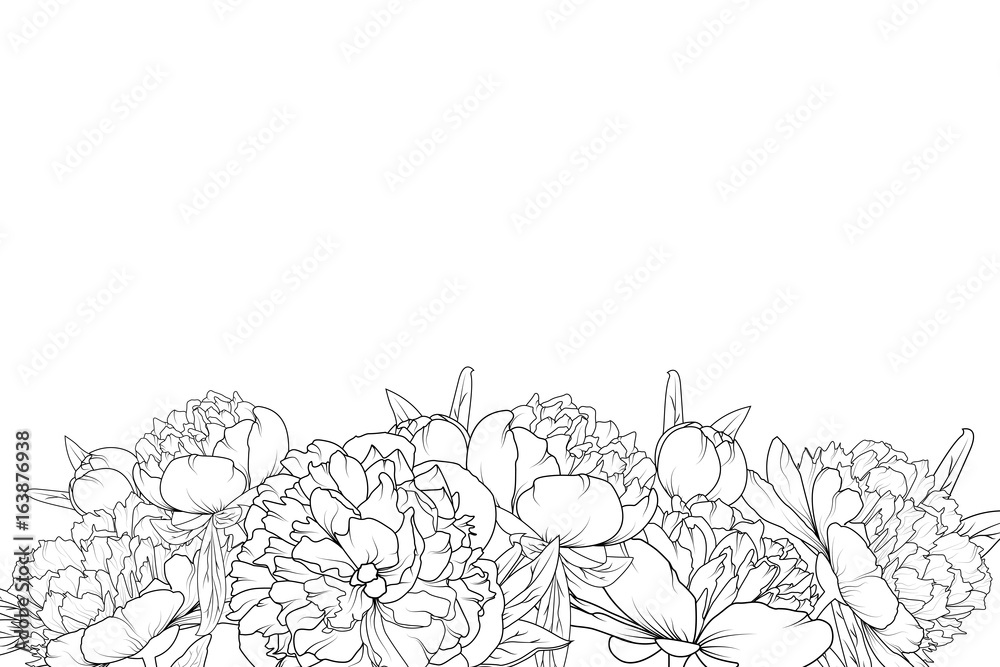 Peony spring summer flowers shrub bloom blossom black and white ...