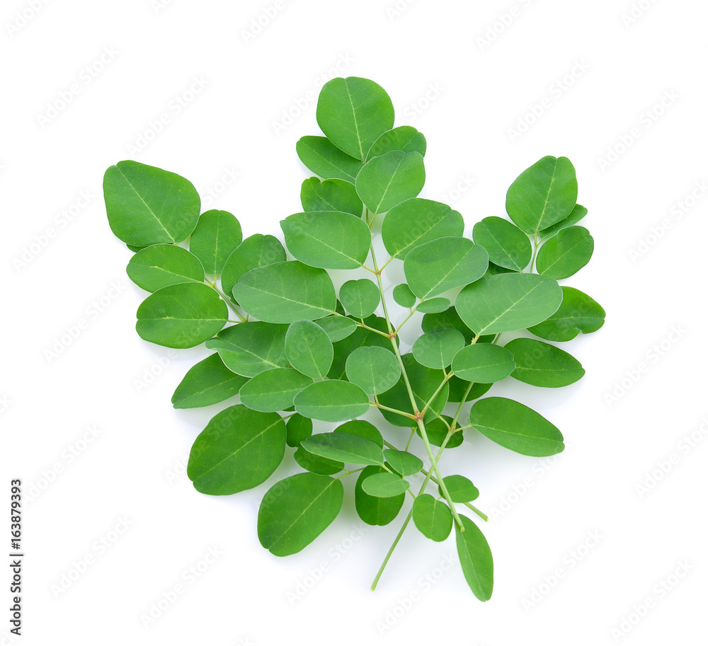 Moringa leaves isolated on white background. Stock Photo | Adobe Stock