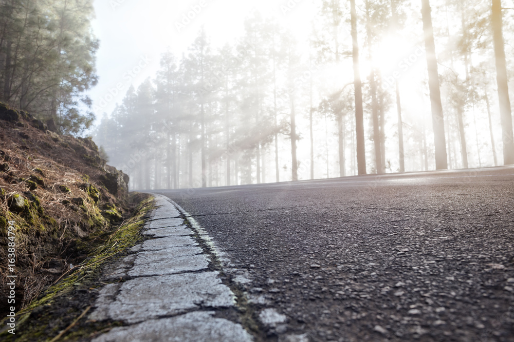 Straße mit brüchigem Seitenstreifen in nebligem Wald Stock Photo ...