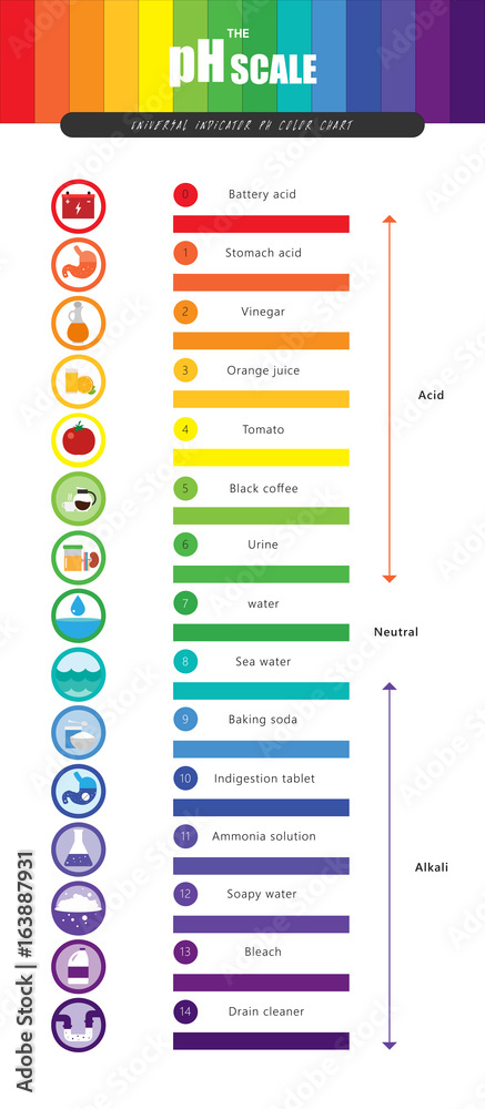 The pH scale Universal Indicator pH Color Chart diagram Stock Vector ...