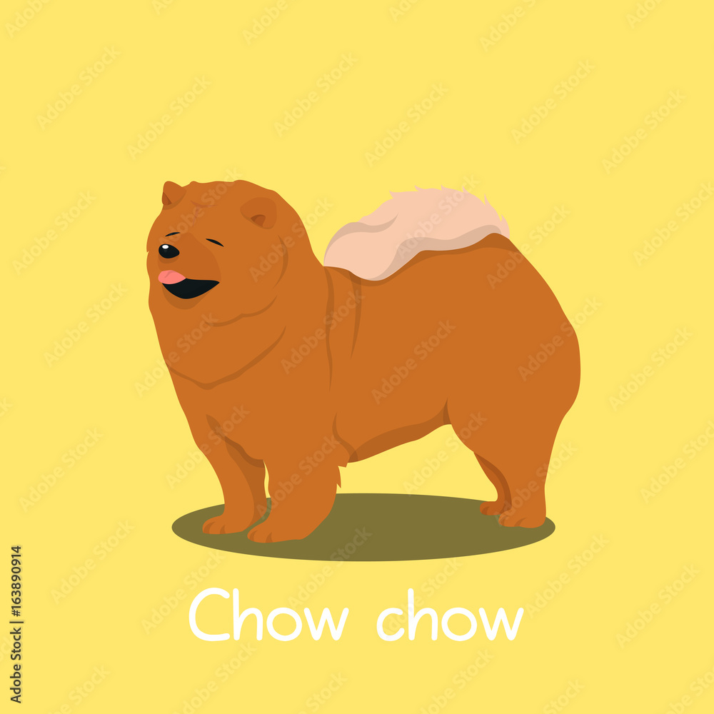 An illustration depicting a cute Chow chow dog cartoon.vector Stock ...