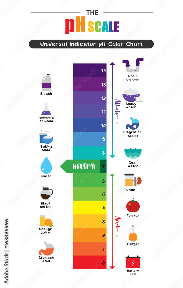 The pH scale Universal Indicator pH Color Chart diagram Stock Vector ...