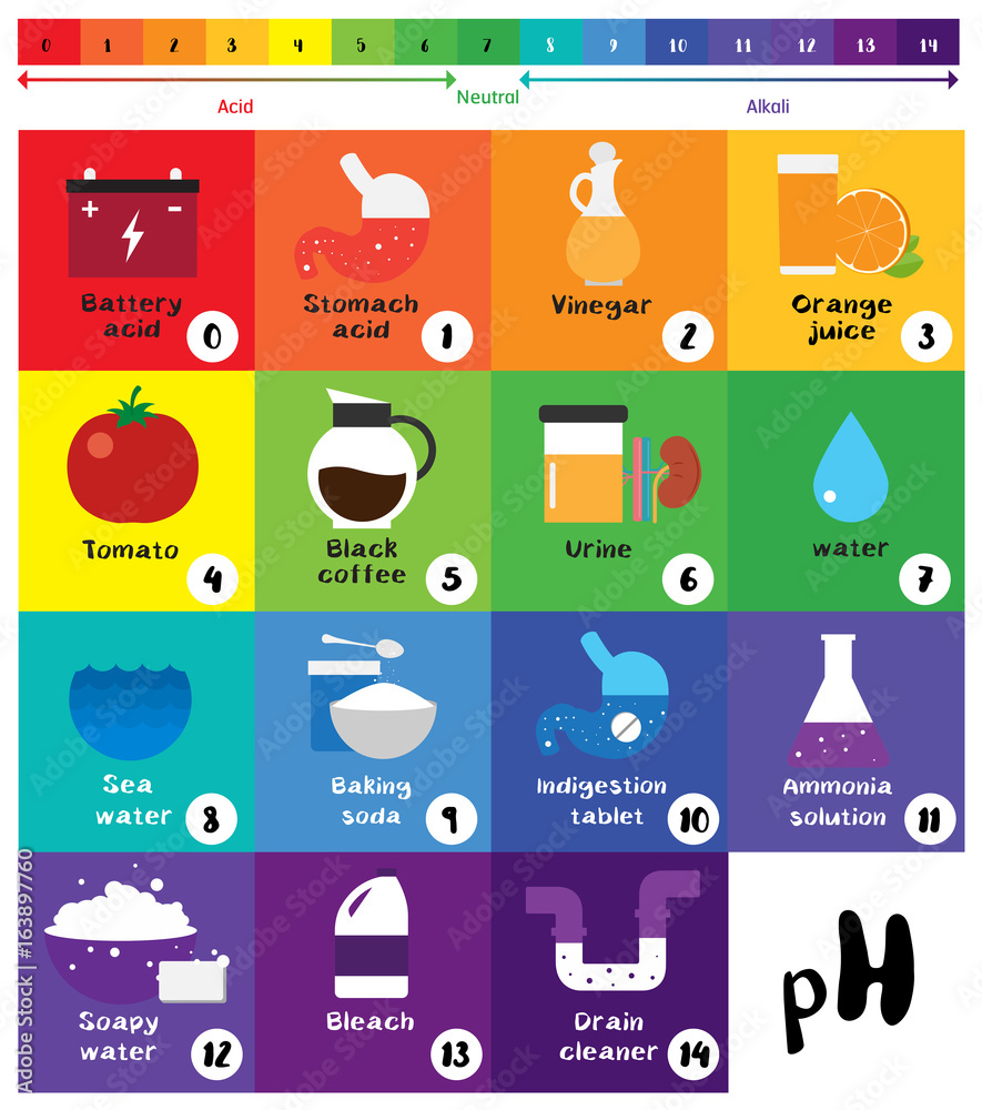 The pH scale Universal Indicator pH Color Chart diagram Stock Vector ...
