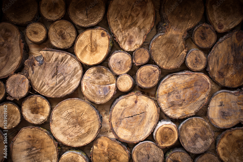 Cross section of tree trunks background. Decoration of cutting tree ...