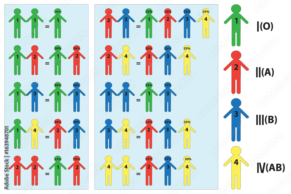Blood Type Chart . ABO Blood Groups Stock Vector | Adobe Stock