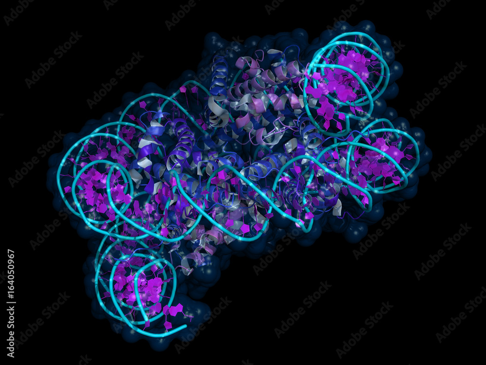 Nucleosome is a basic unit of DNA packaging in eukaryotic cells, with ...