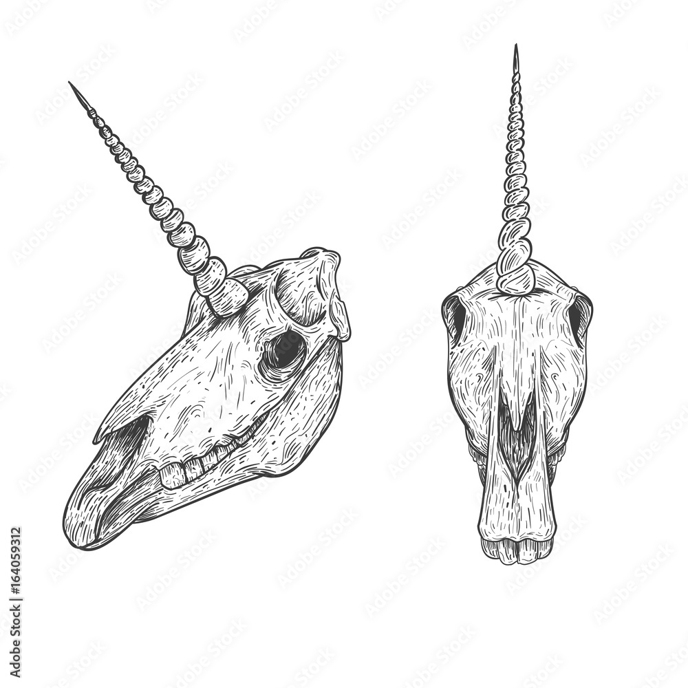 Unicorn skull in retro vintage style. Design template for tattoo, print ...