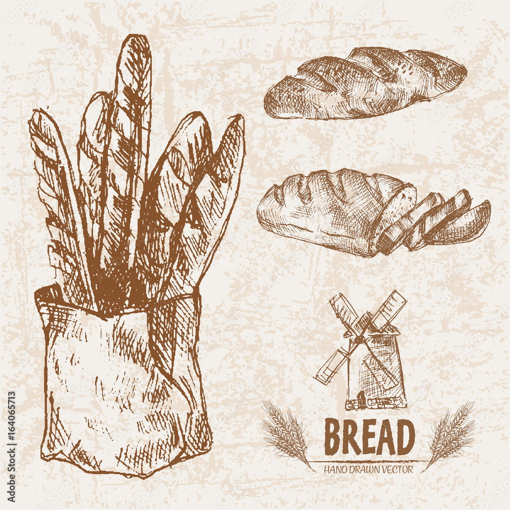 Digital vector detailed line art baked bread and dried wheat hand drawn ...