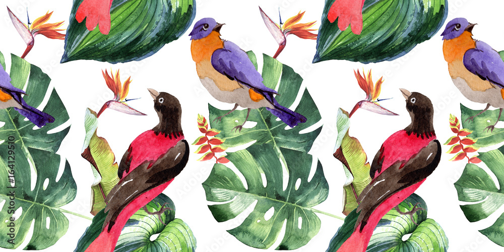Sky birds of paradise pattern in a wildlife by watercolor style. Wild ...