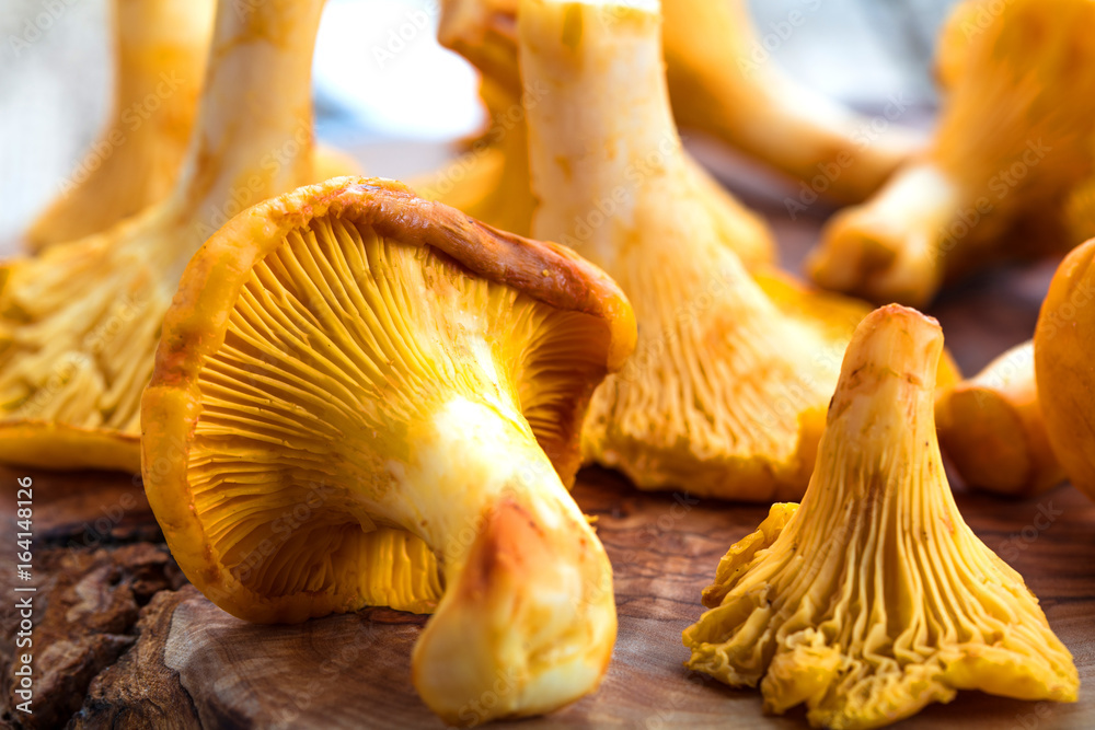 Pfifferlinge Stock-Foto | Adobe Stock