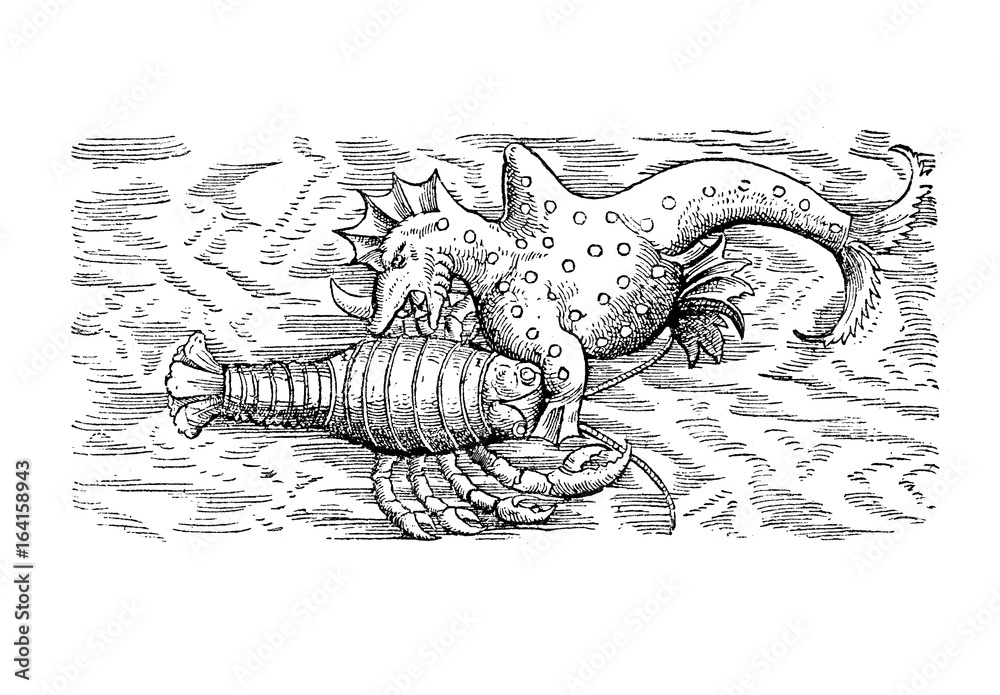 Sea monster rhino whale eats a crayfish, medieval engraving, year 1598 ...