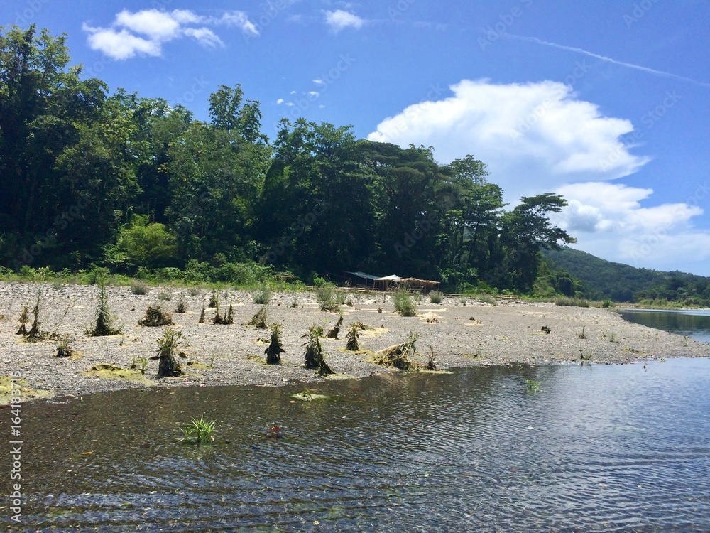 Bamboo rafting on the beautiful tropical Rio Grande river in the sunny ...