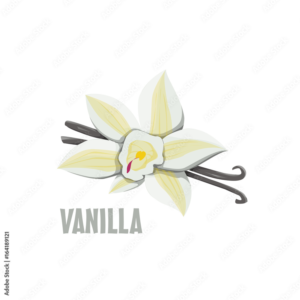 Vetor de Logo Vanilla vector farm design do Stock | Adobe Stock