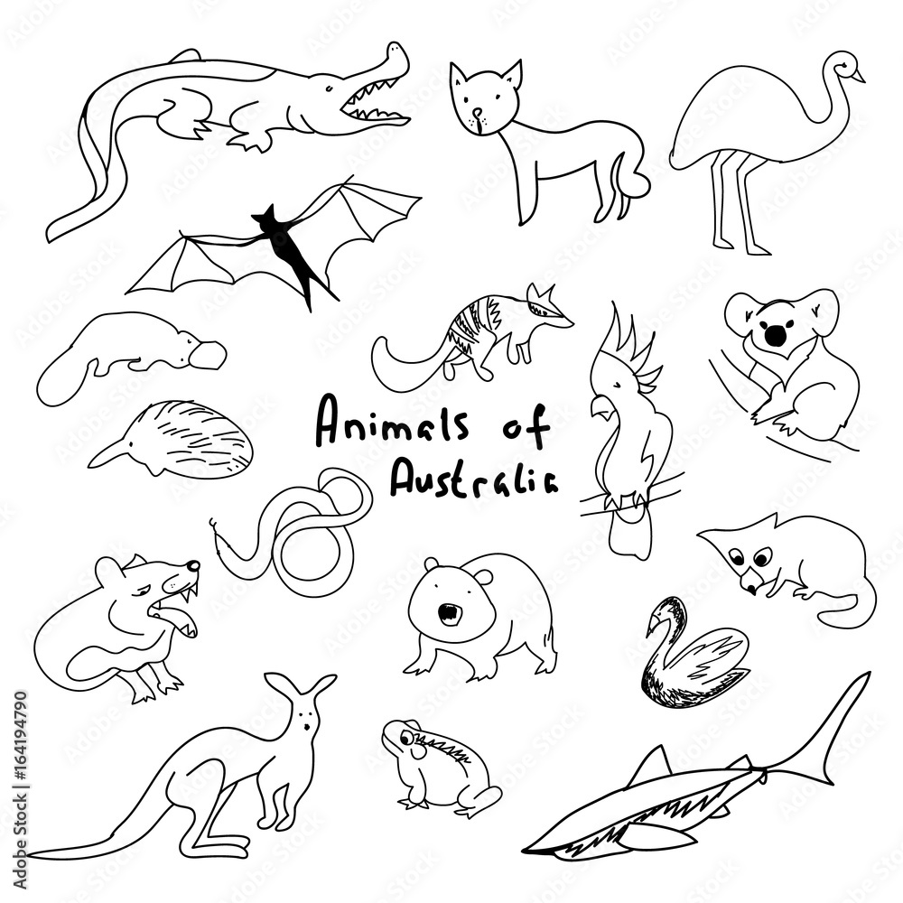 Animals of Australia (a set of simple drawings) Stock Vector | Adobe Stock