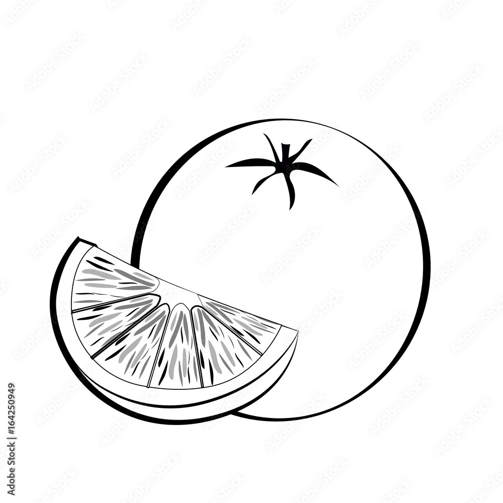 Orange Fruit Clipart Black And White