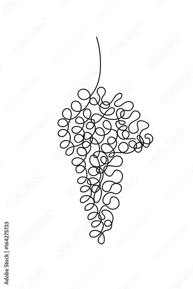 Hand drawing of a bunch of grapes. Continuous line illustration. Stock ...