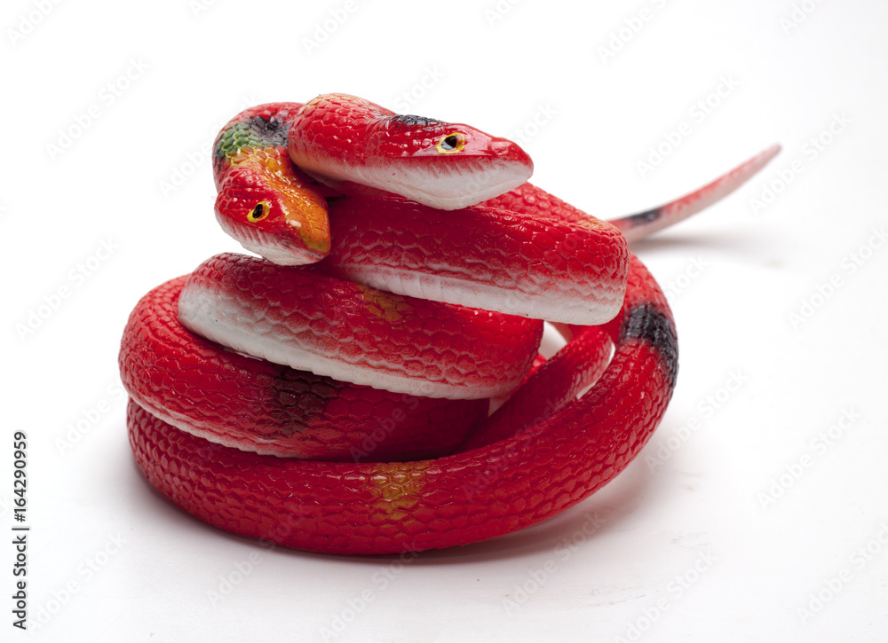 rubber snake on a white background/rubber snake/isolated objects Stock ...