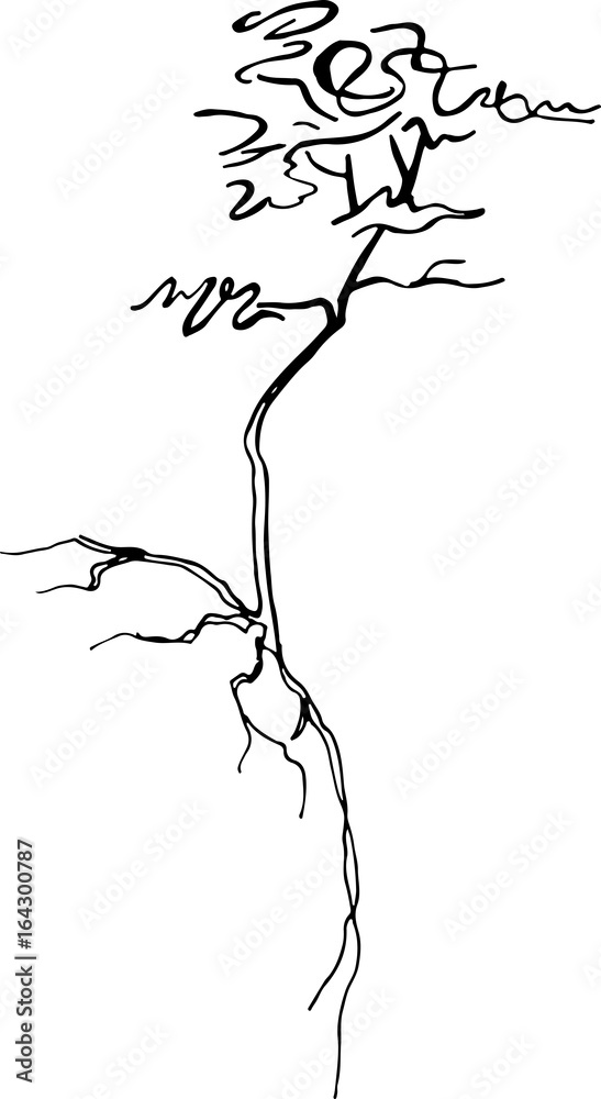 Sketch of a tree with roots Stock Vector | Adobe Stock