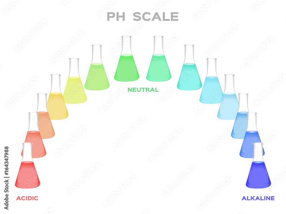 ph scale vector graphic . acid to base Stock Vector | Adobe Stock