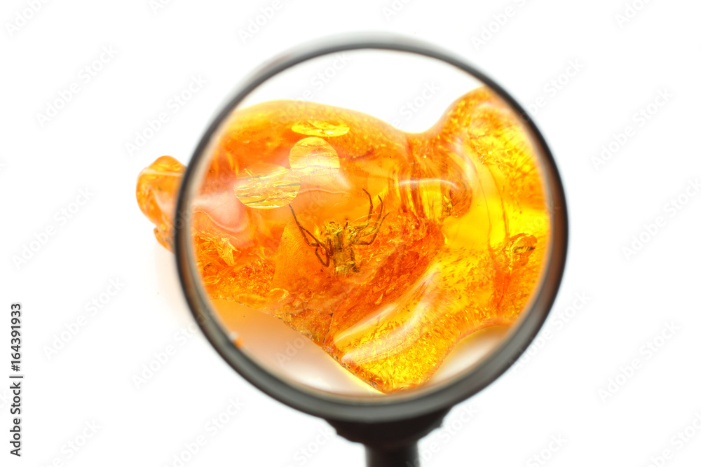 Amber with inclusions under the magnifying glass on a white background ...